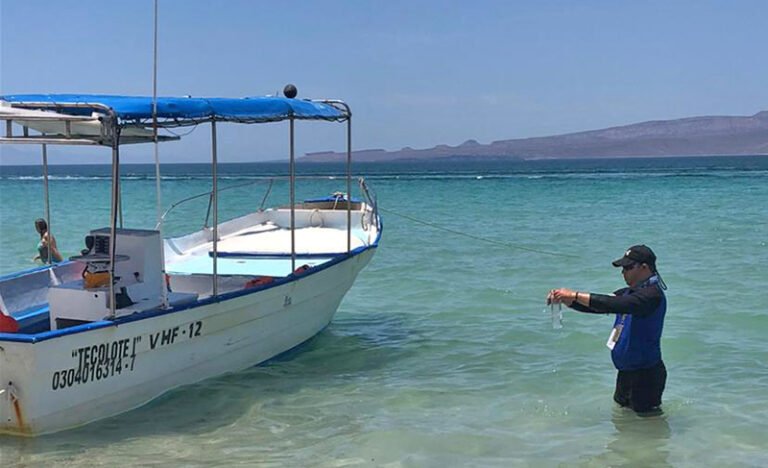 Playa El Tecolote no presenta problemas sanitarios: COEPRIS BCS ...